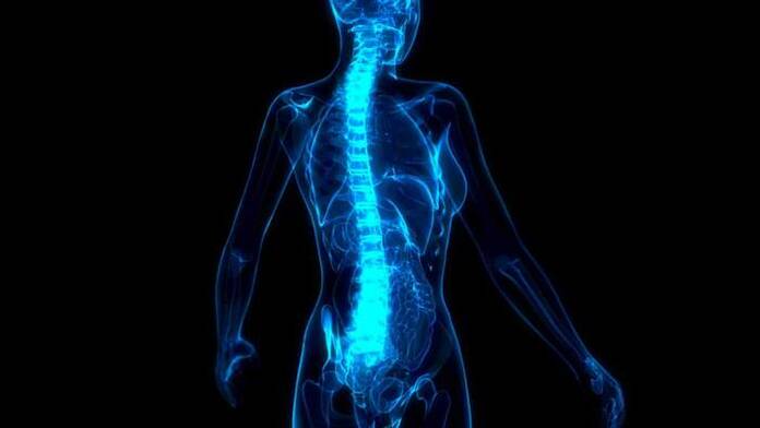 ¿Cómo funciona la rizólisis por radiofrecuencia para tratar el dolor ...